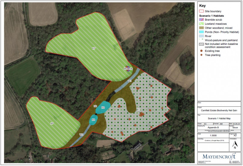 Camfield Place Feasibility Study