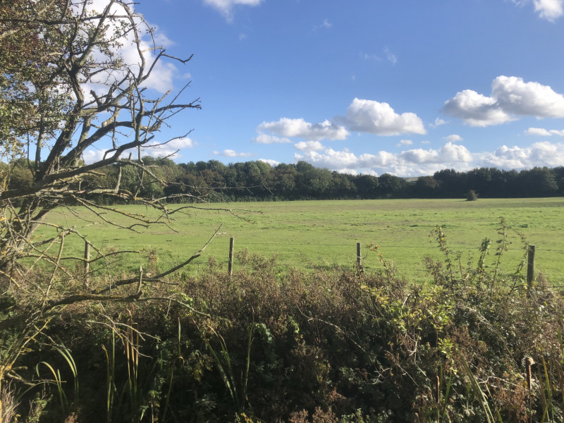 Barton-le-Clay Habitat Bank